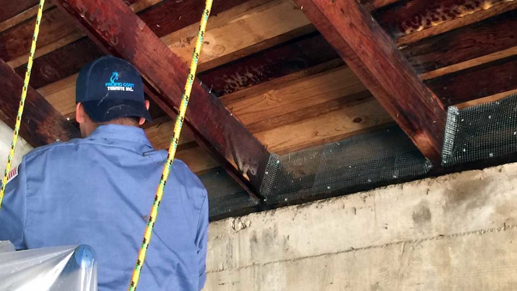 Rodent Control & Removal | California